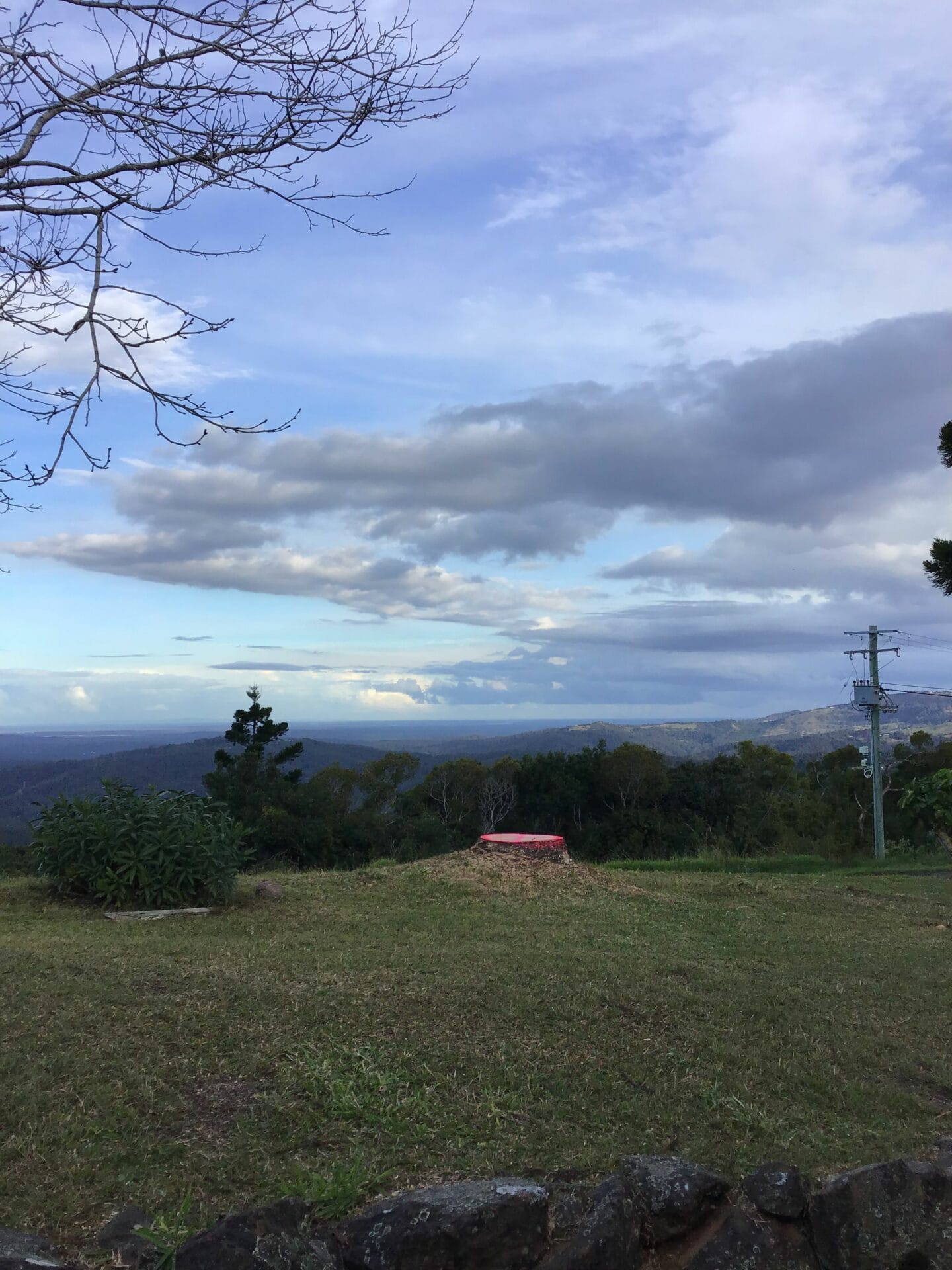 Land Clearing Service Of Sunshine Coast Vegetation & Trees