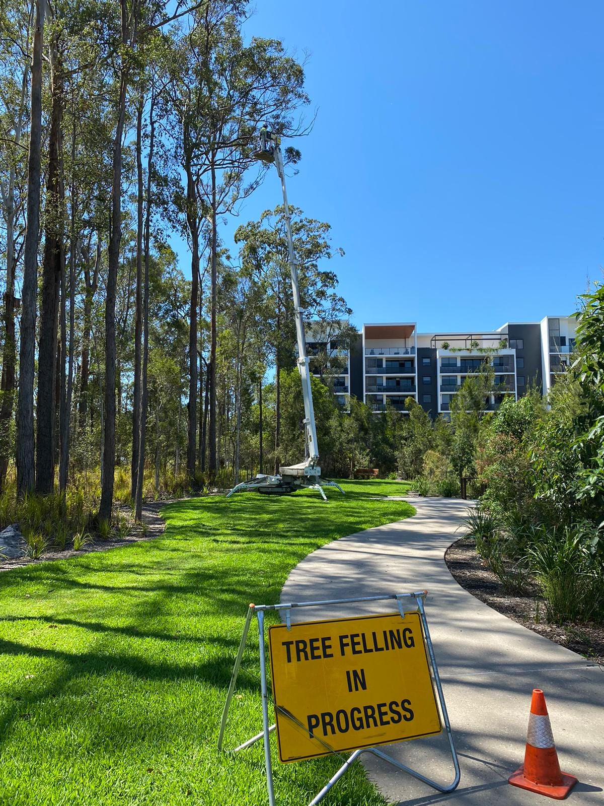 Tree Trimming Services | Sunshine Coast Tree Service