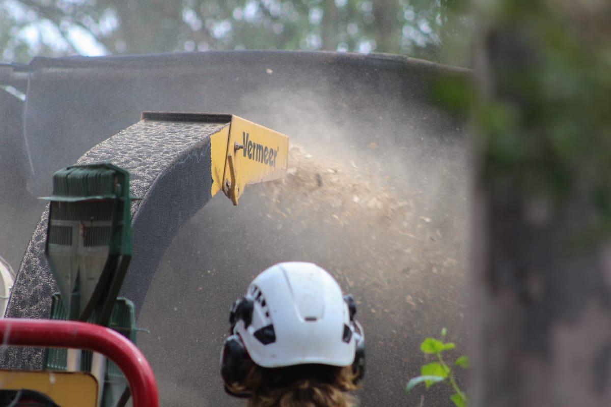 #1 Tree Mulching Services For Sunshine Coast Gardens