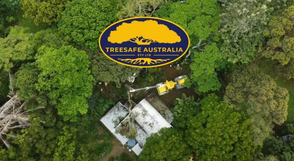 Treesafe Tree Services Sunshine Coast | Prune & Tree Removal